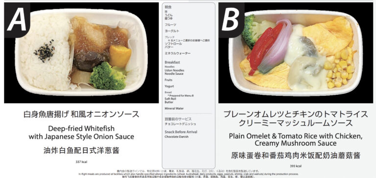 ANA シンガポール-成田 NH802エコノミークラス搭乗記！【シンガポール旅行記9】 | 糖質制限ダイエットとか陸マイラーとかいろいろやってみた